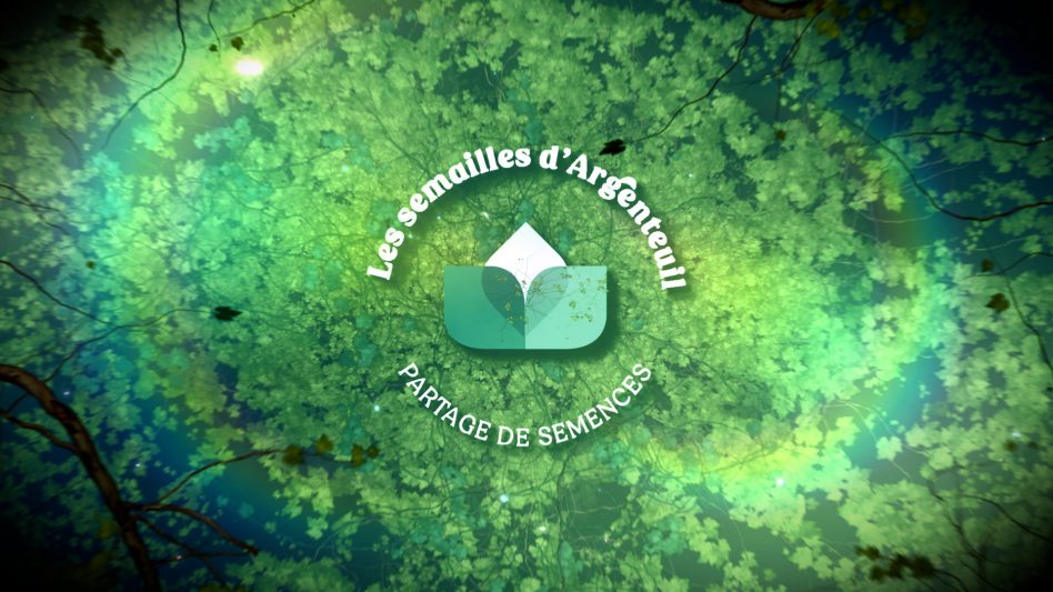 Les semailles Argenteuil - TVC d’Argenteuil