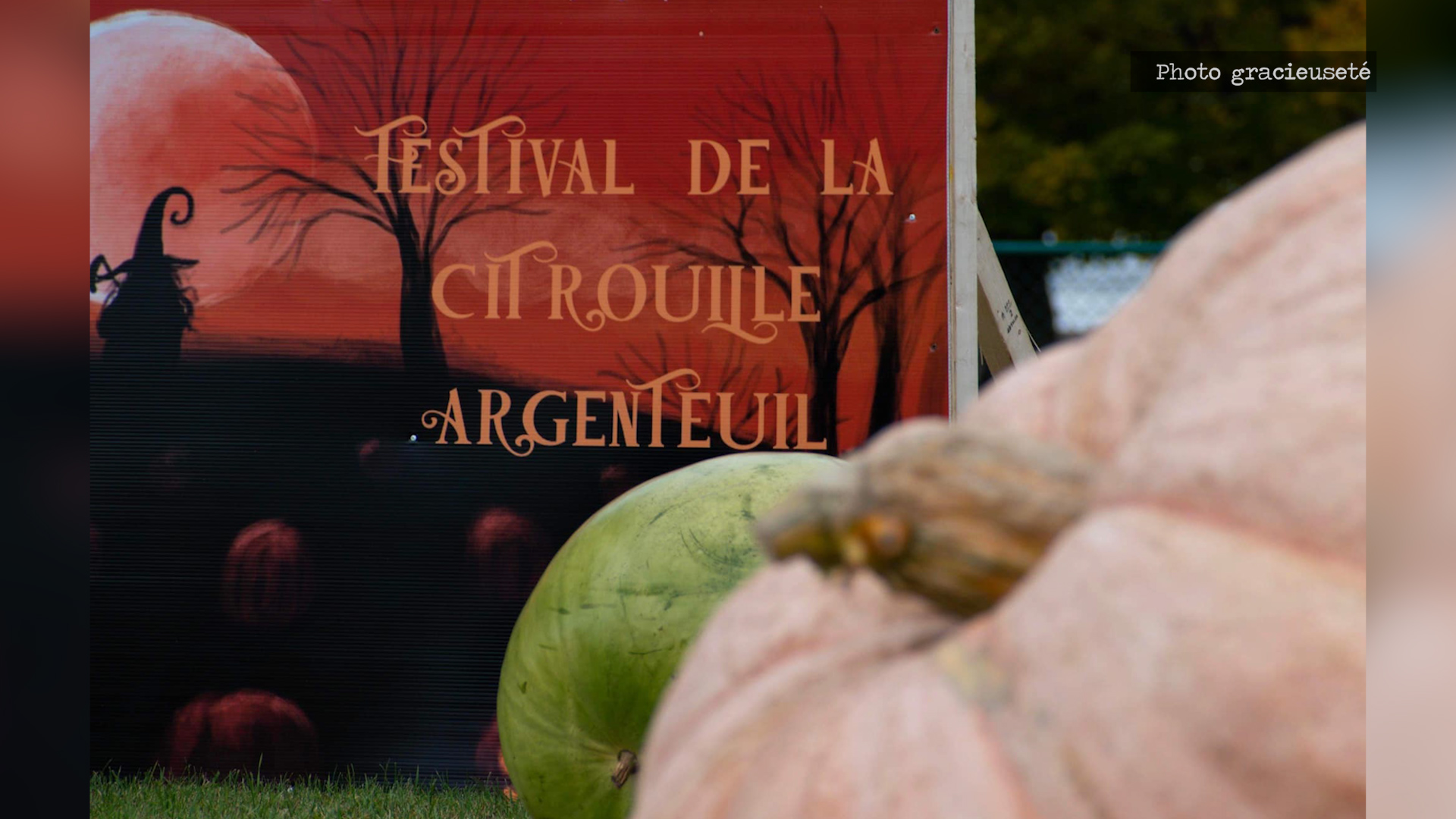 Reportage : 6e Festival de la citrouille d'Argenteuil à venir - TVC d ...